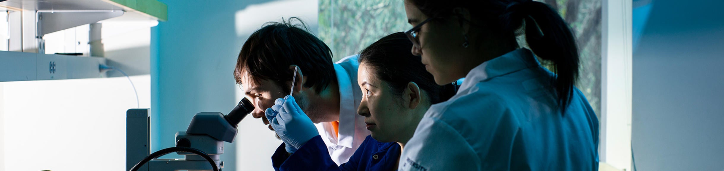 Teaching Credential Programs | California Teach - Science & Math Initiative